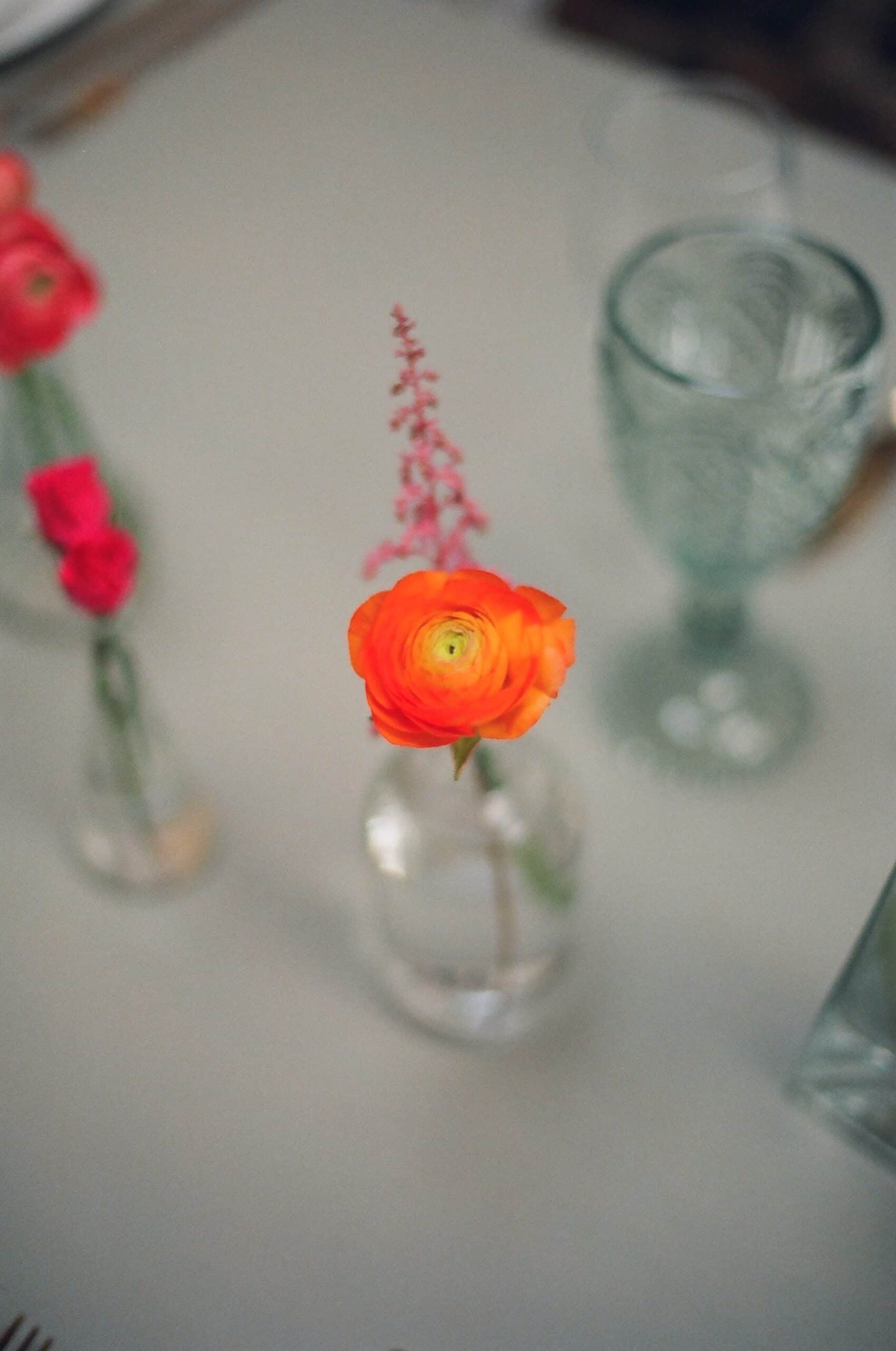 Tablescape Looks – Find Your Inspiration! | Seedling and Sage ...